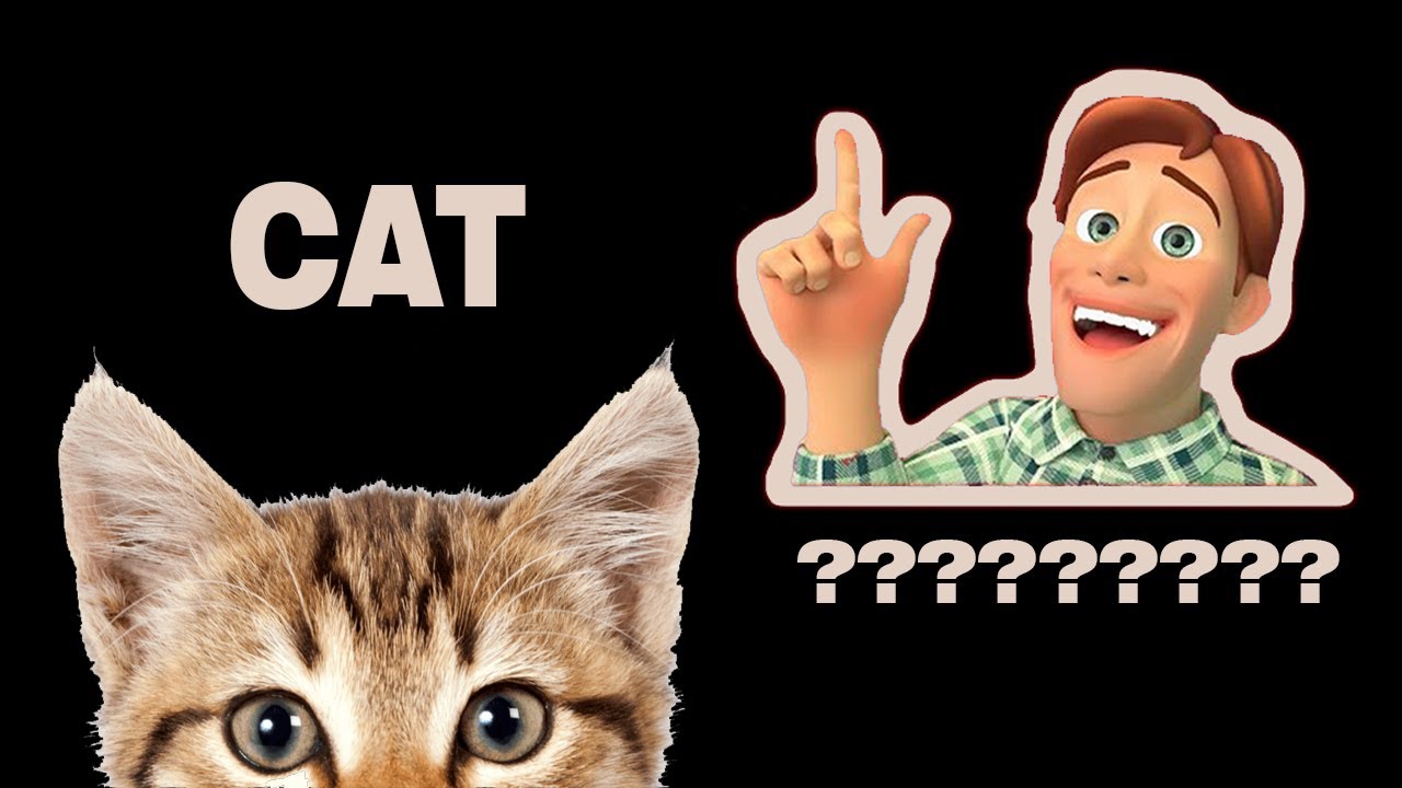 Daddy Did a Funny Dance with CATS Sound Variations WOW - YouTube