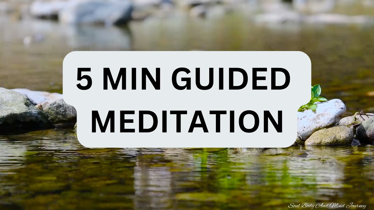 5 MIN DAILY GUIDED MEDITATION Morning Gratitude, Mindfulness ...