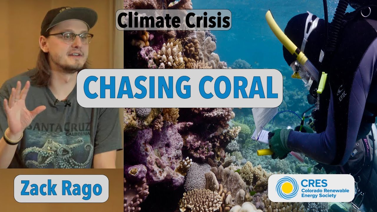 Chasing Coral - A Climate Crisis - YouTube