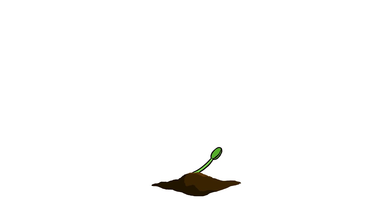 A growing plant | small Animation - YouTube