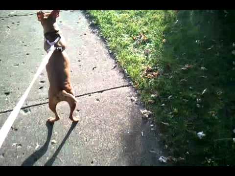 of course I can dance of course I can dance - YouTube