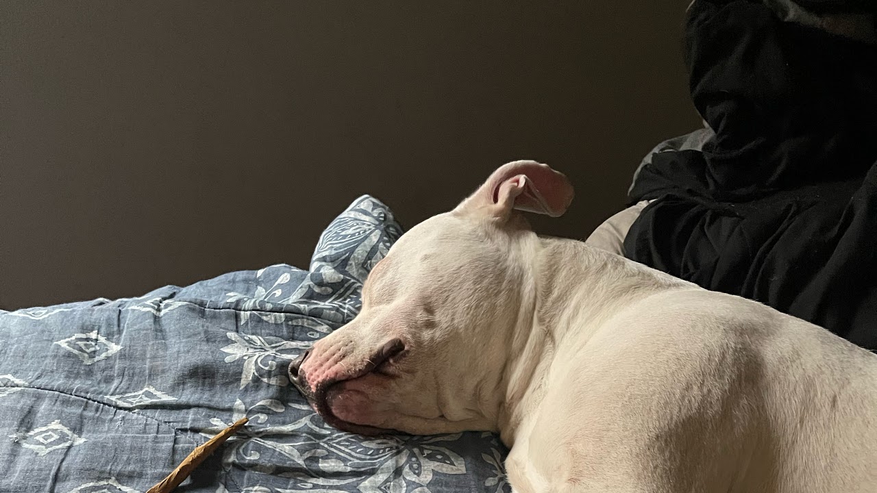 Call of Duty Swagger. It's time to turn up the action.. Locking.Like ...