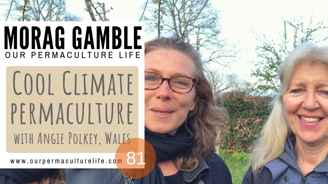 Cool Climate Permaculture: Morag Gamble talks with Angie Polkey in her ...