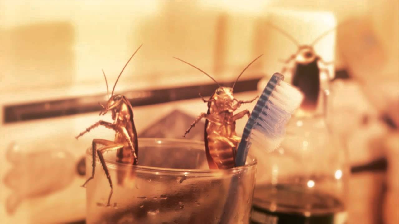 Baygon (Spec) TVC - YouTube