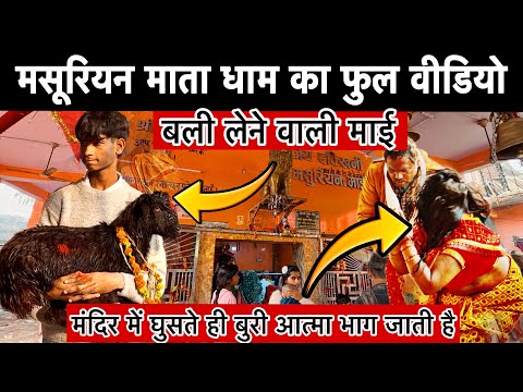 Masuriyan Mata Mandir Imilian | Real Experience Vlog | Prayagraj Darshan