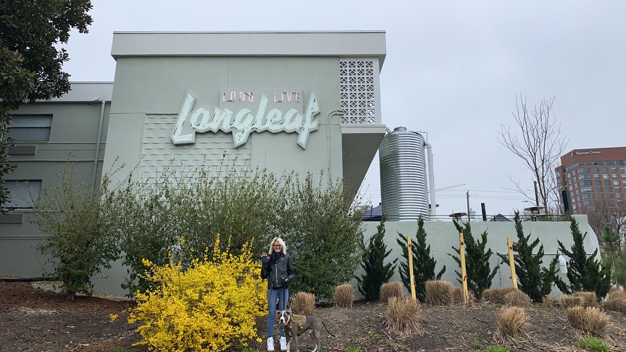 LIVE Longleaf Hotel & Lounge Raleigh, North Carolina - YouTube