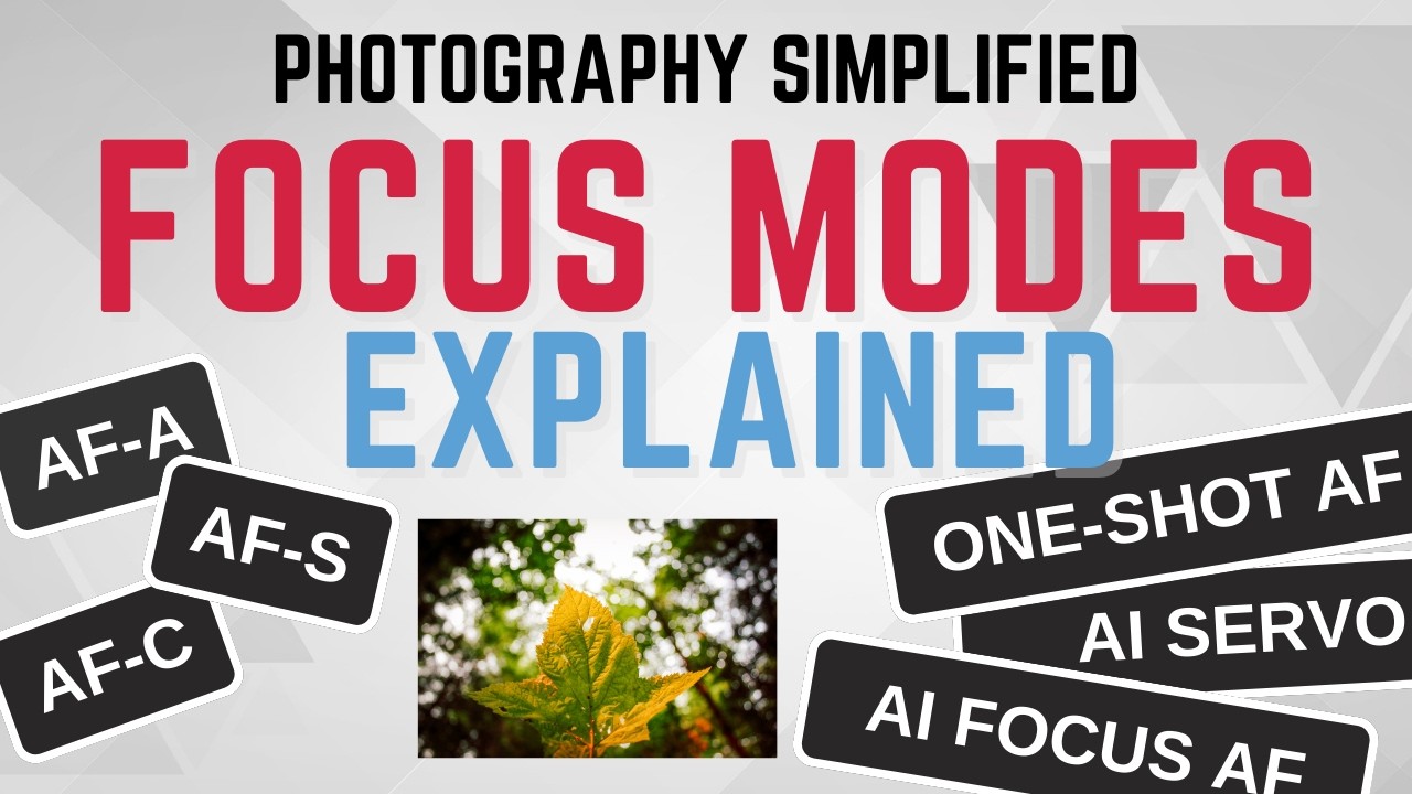 Focus Modes Explained | When to Use Which Focus Mode - YouTube