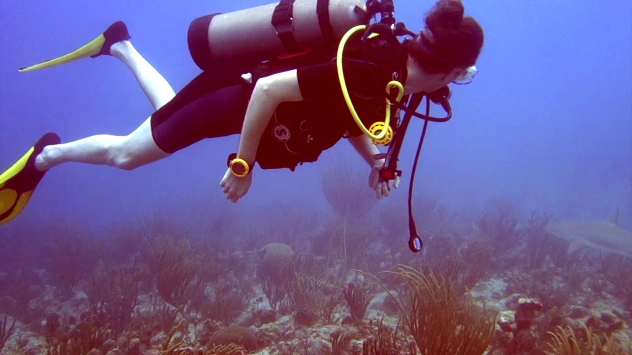 SCUBA Diving Antigua - Underwater Video HD - YouTube