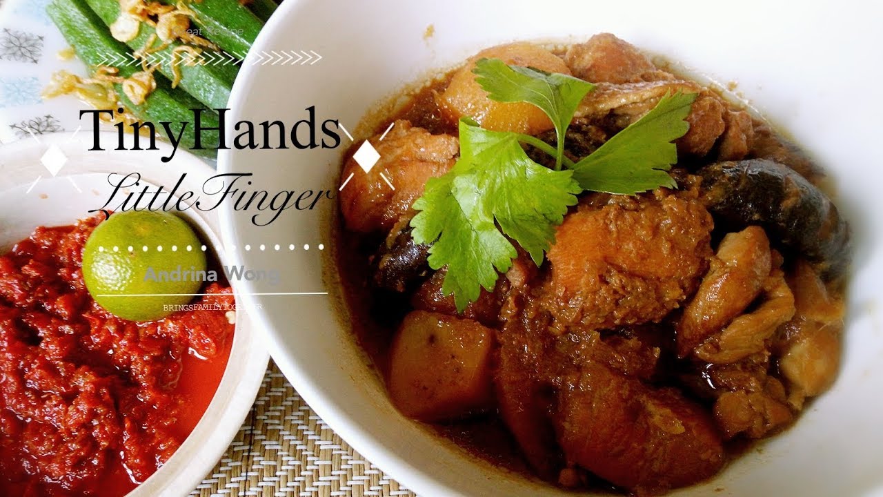 How to cook Nyonya Pongteh Ayam, peranakan chicken stew, Chicken stew ...
