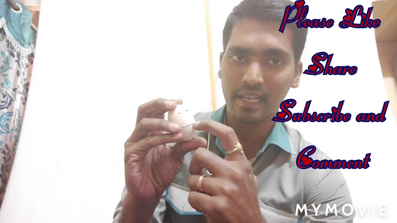 Difference between fertile and non fertile egg - YouTube