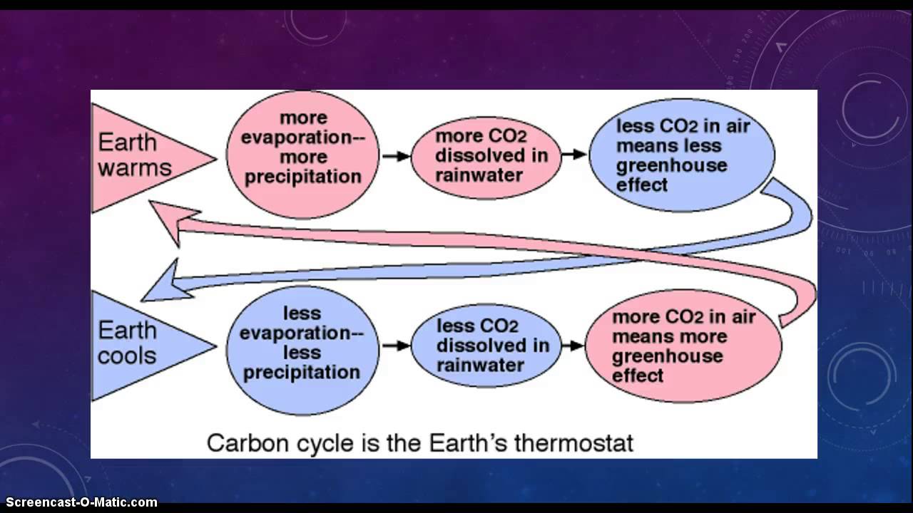 The Gaia Hypothesis - YouTube