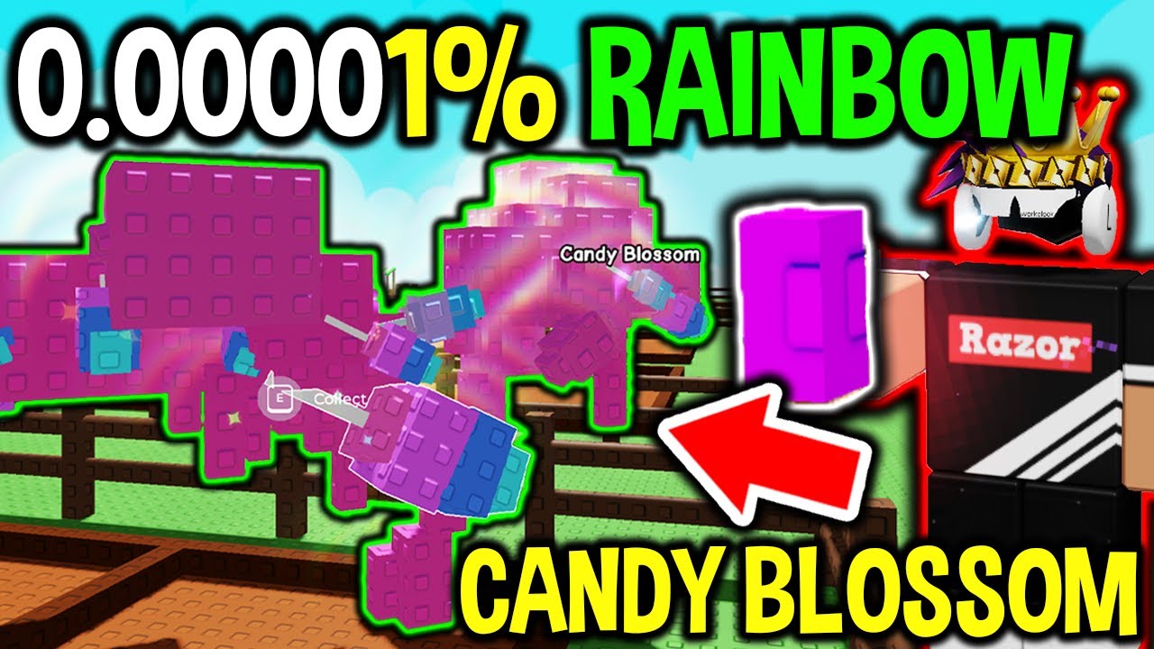 Growing RAREST RAINBOW CANDY BLOSSOM in Roblox Grow a Garden.. - YouTube