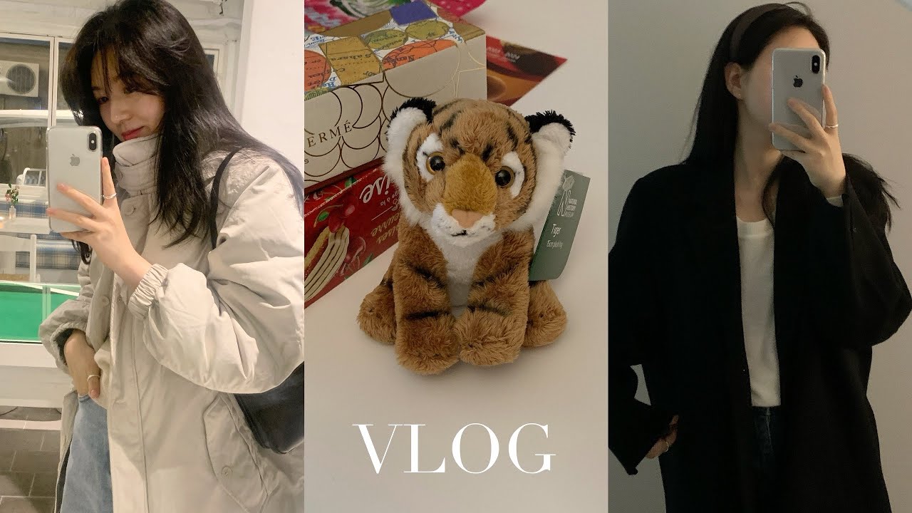 Vlog 더현대 트리 구경 일상 브이로그 패딩과 코트 첫 개시 신혼 여행 돌아온 언니의 선물 나이트 케어 루틴 톤