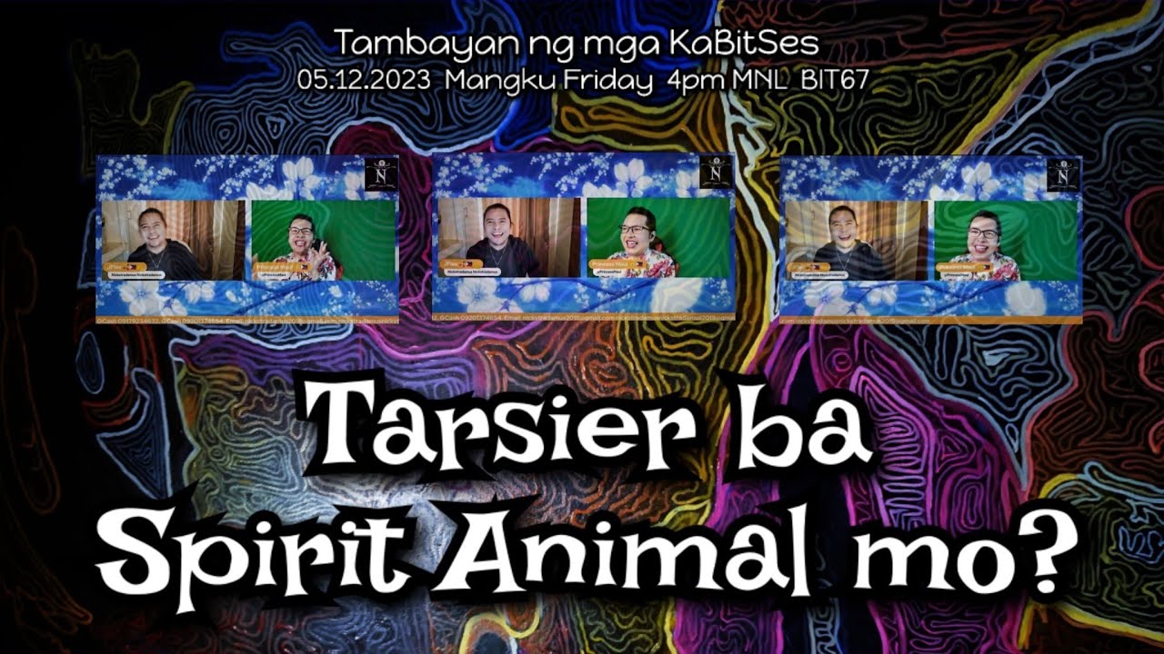 Tarsier ba Spirit Animal mo? - YouTube