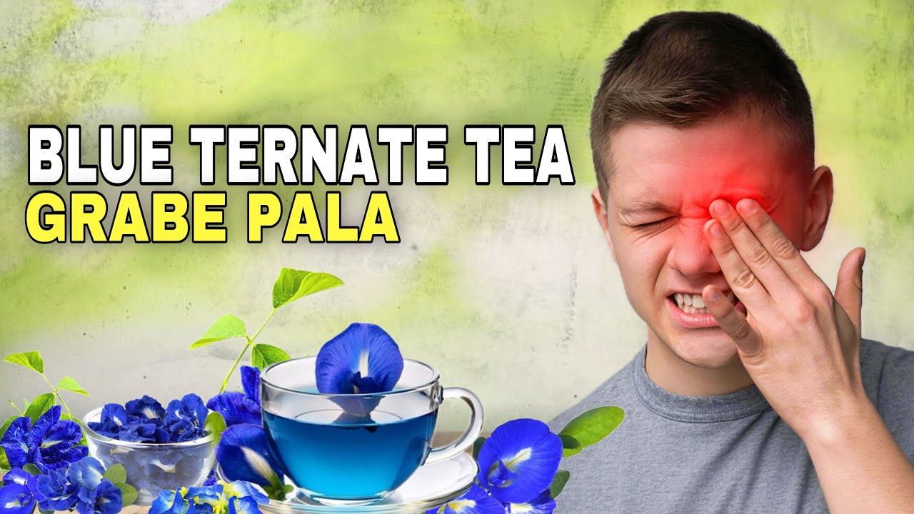 BLUE TERNATE - GRABE PALA EPEKTO SA KATAWAN | 10 Benepisyo kapag uminom ...