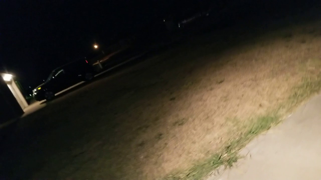 Looking for snowball still 😢 - YouTube