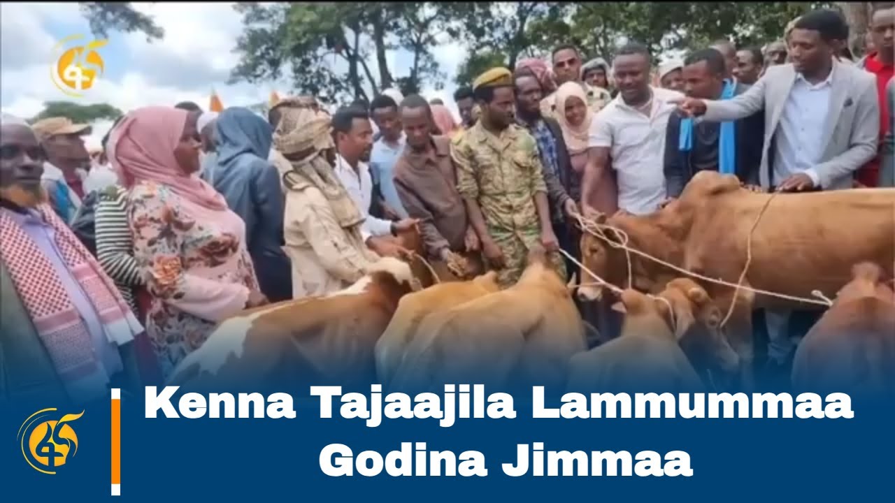 Kenna Tajaajila Lammummaa Godina Jimmaa - YouTube