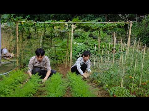 Khanh and Tieu Ai tend to the small garden together — building a beautiful new life.