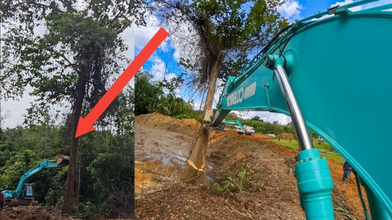 Tree Felling with a Kobelco Excavator - YouTube