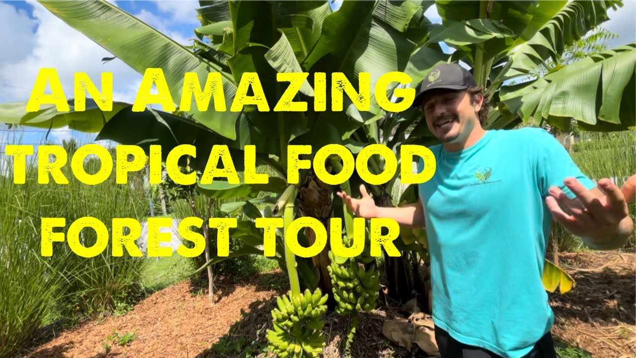An amazing south Florida tropical garden tour !!!! - YouTube