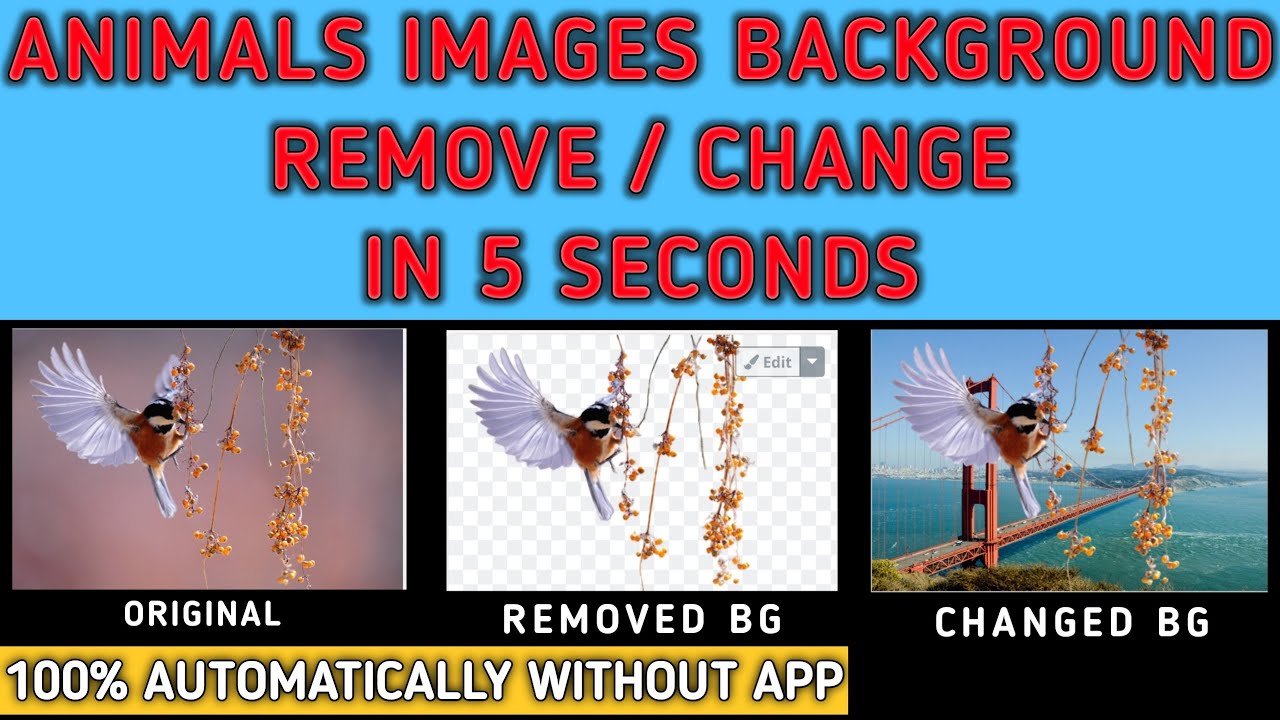 how to change & remove background of animal images || animal picture ...