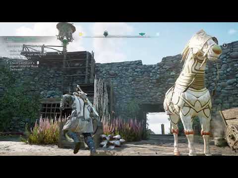 Assassin's Creed Valhalla Wrath of Druids Get to Ciara at Cashelore Pigeon Coop