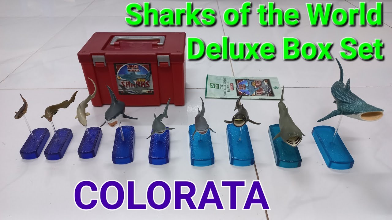 COLORATA☆Sharks of the World☆Deluxe Box Set #shark #colorata - YouTube