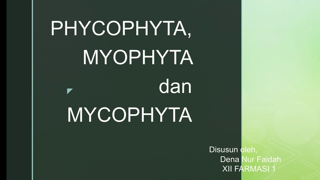 BAB 1 PHYCOPHYTA, MYCOPHYTA & MYCOPHYTA - YouTube