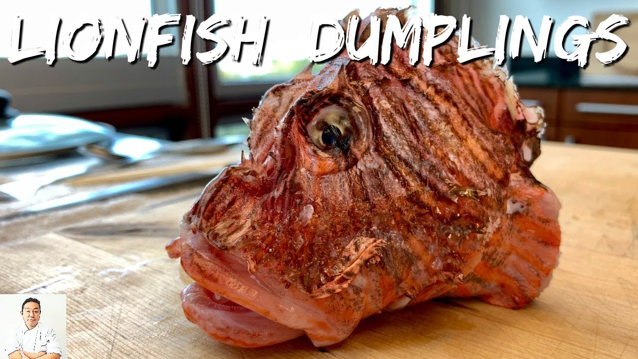 Fresh Lionfish Dumplings | Clean, Pan Seared and Steamed | FAST FRIDAYS ...