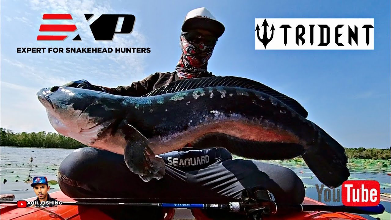 Review and field test ‼️ Rod Exp Trident by @EXPFISHING Rod murah dan ...