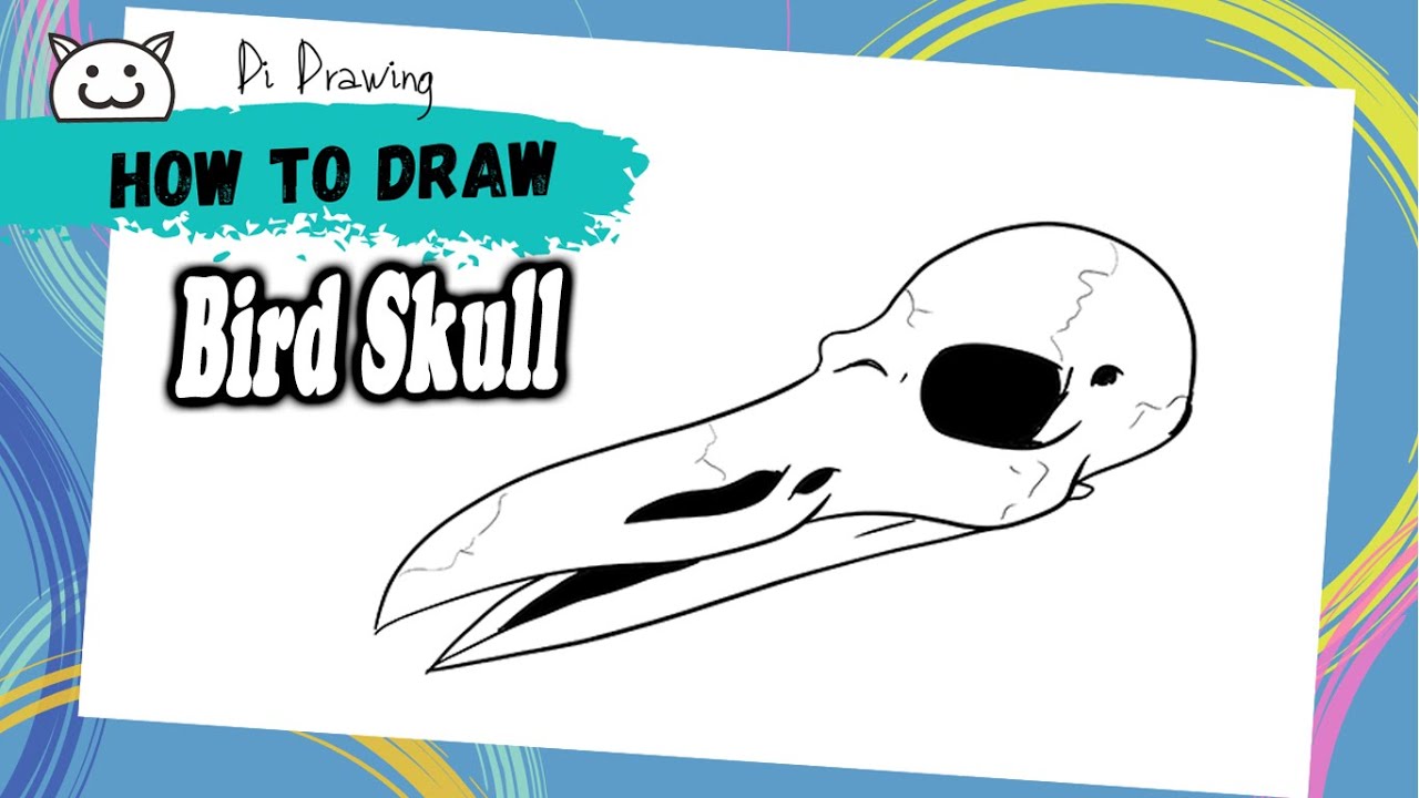 How to Draw Bird Skull - YouTube
