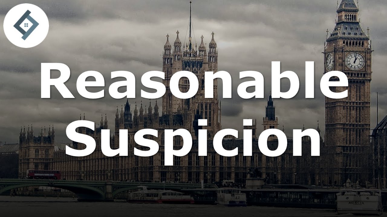 Reasonable Suspicion | Public Law - YouTube