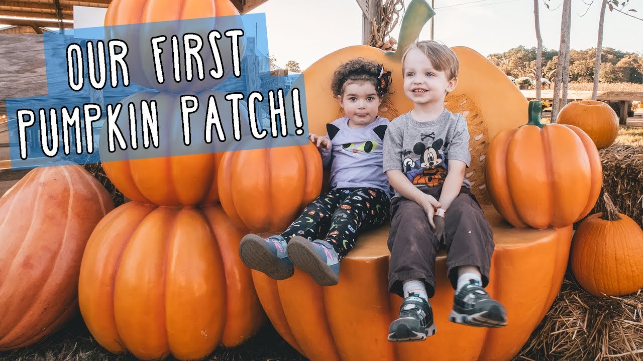 Our First Pumpkin Patch! - YouTube