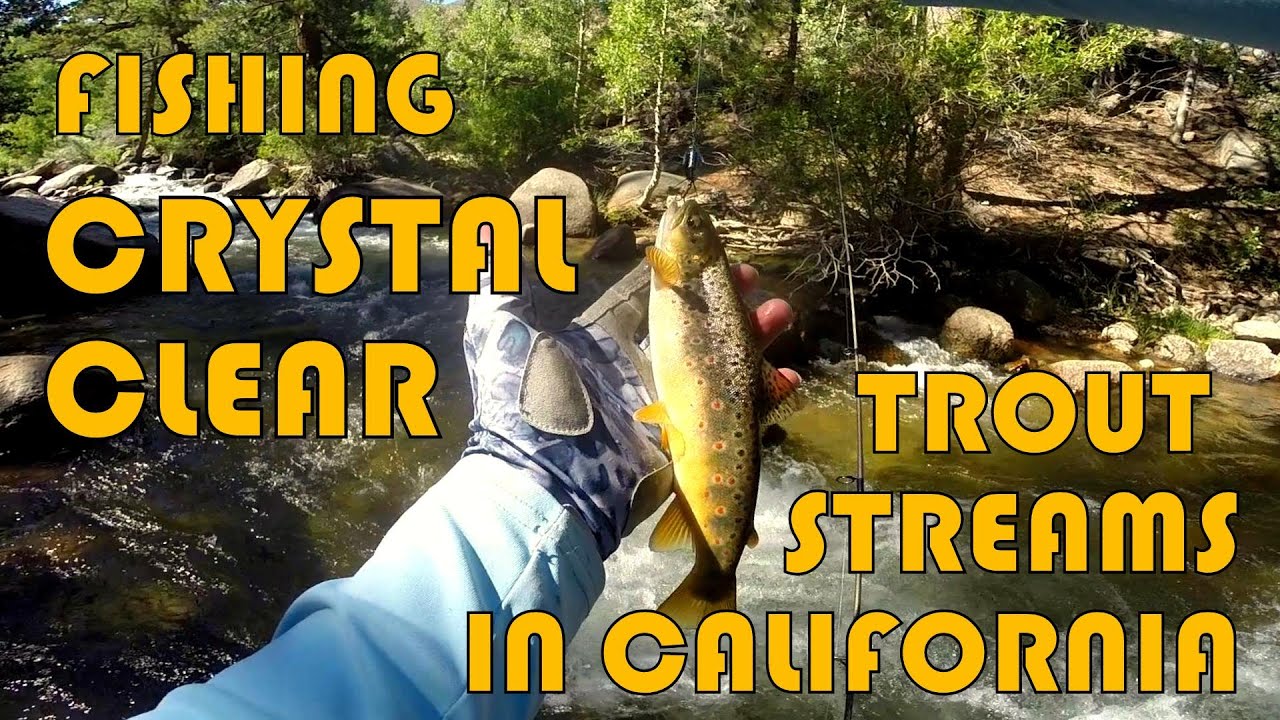Fishing Crystal Clear Trout Streams in California - YouTube