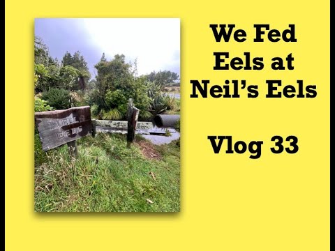 Feeding the Eels at Neil's Eels - South Island New Zealand Vlog #33 - YouTube