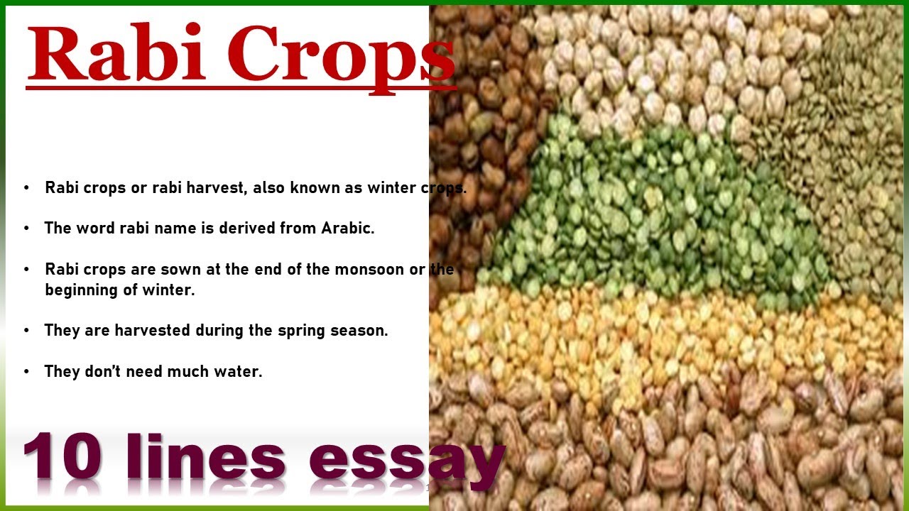 10 lines on Rabi Crops||10 lines essay on Rabi Crops - YouTube