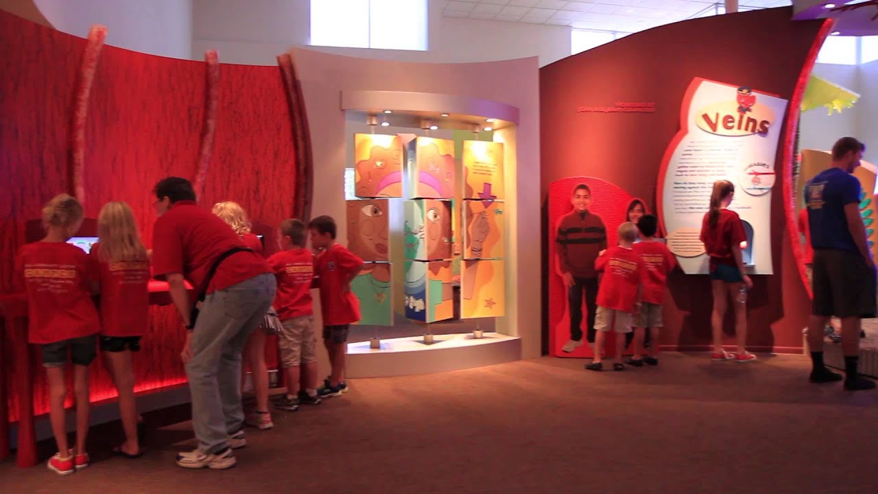 Halle Heart Museum Tour Video - YouTube