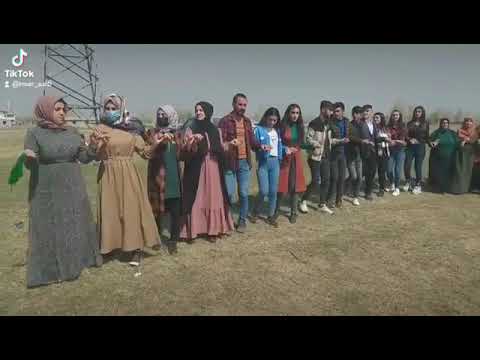 Halay Başında Kızlar Olunca Güzel bir Aile Düğünü Iğdır Erhacı Köyü Koma Aşiti(HD 2021)