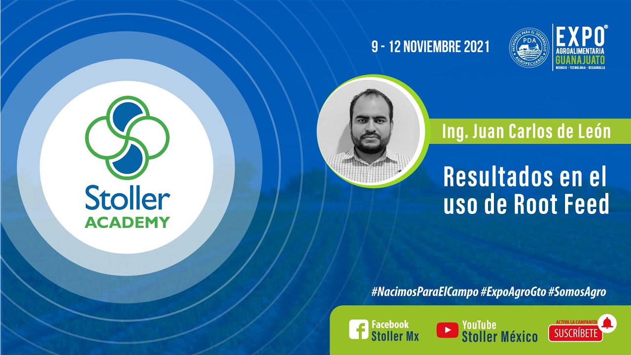 Resultados en el Uso de Root Feed - YouTube