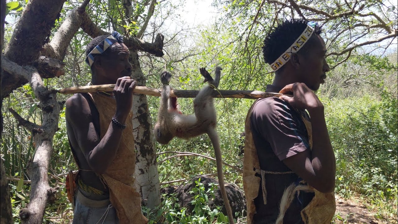 The Hadzabe Tribe eating a monkey after a successful hunt. - YouTube