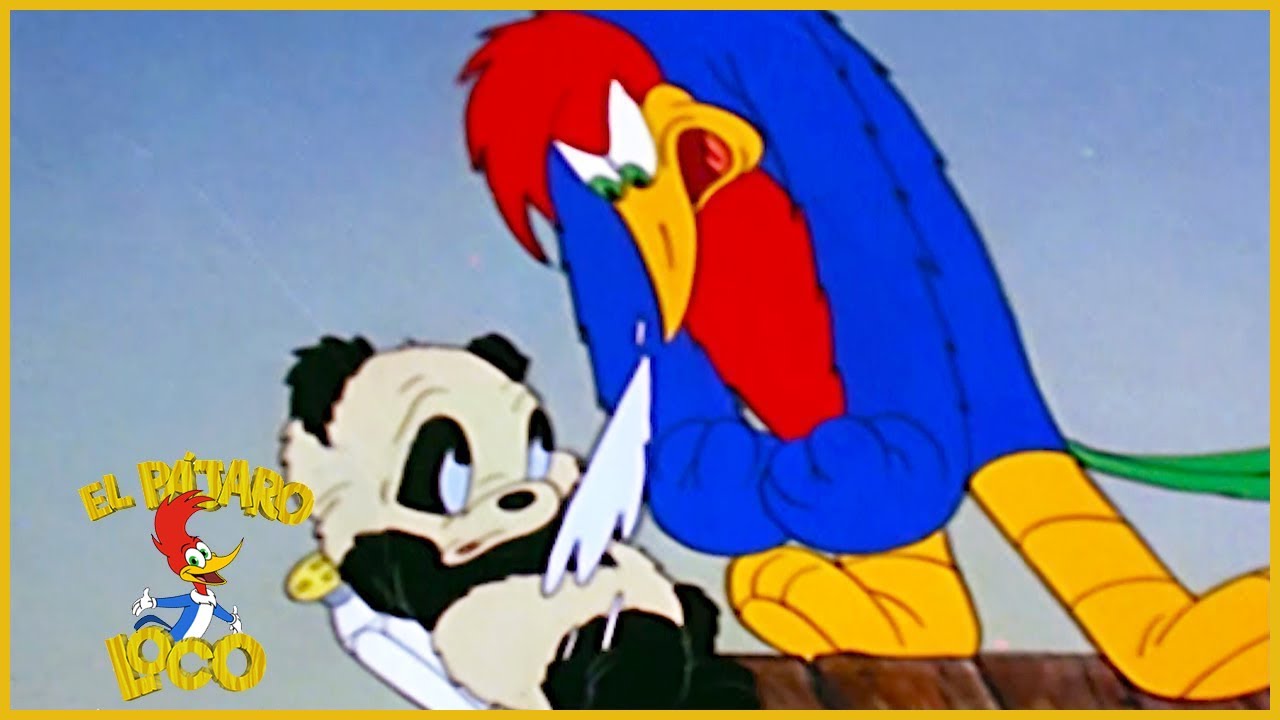 El Pájaro Loco en Español | El Nacimiento De Andy Panda | Dibujos ...