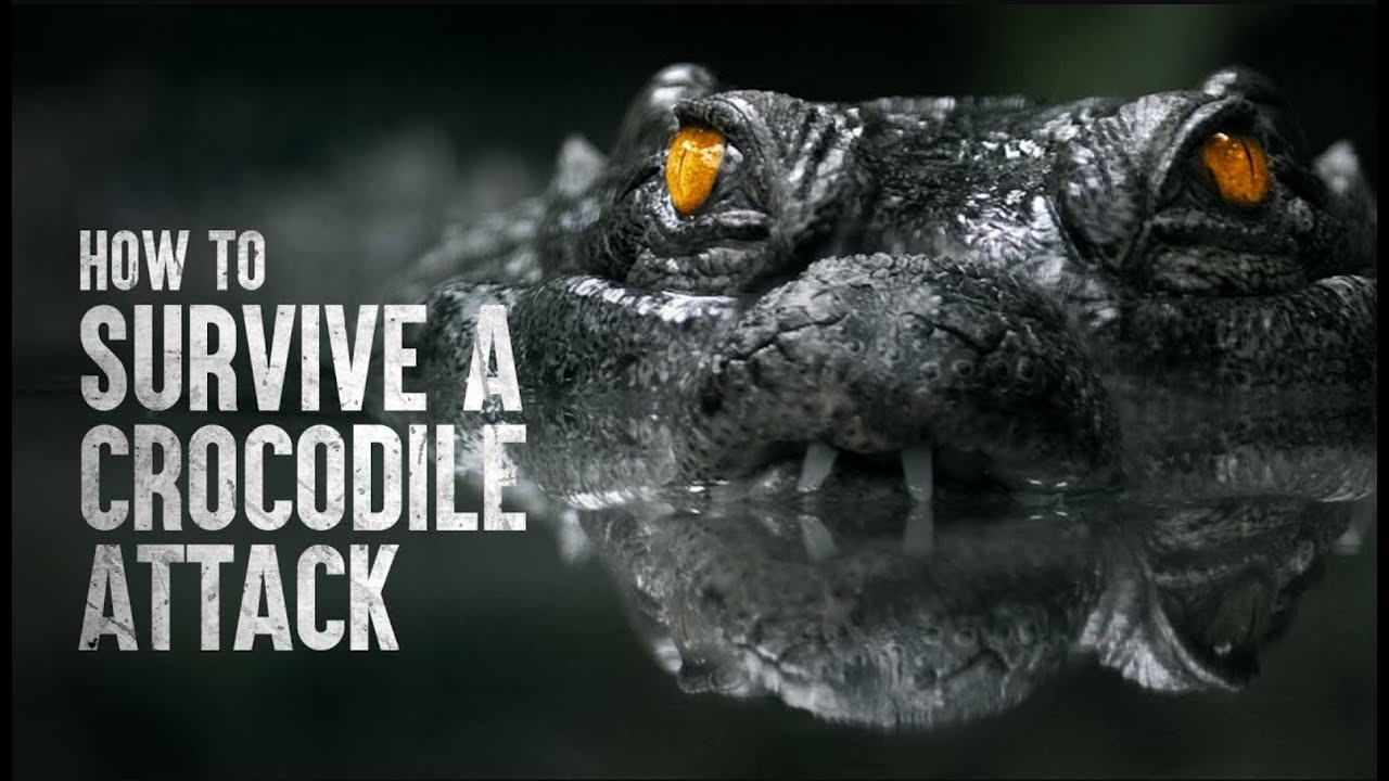 Crocodile EXPERT Shares Top 5 Survival Tips You Won't Believe! - YouTube