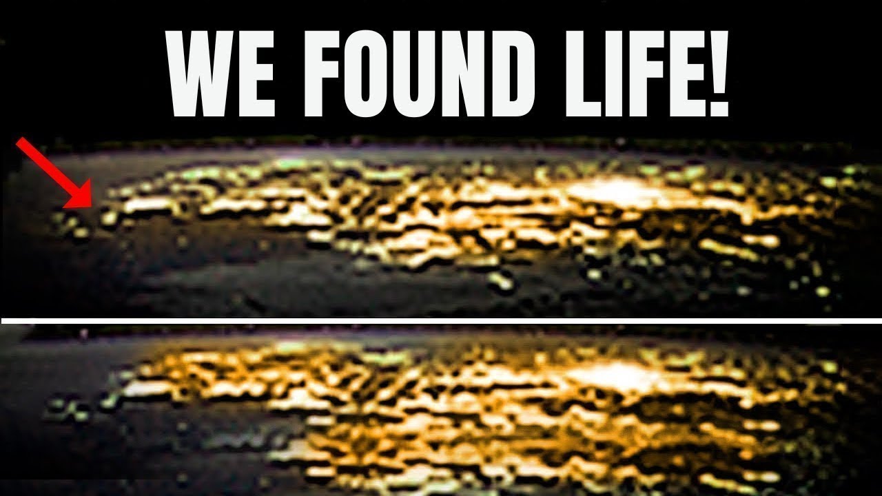 The CLEAREST Image Of Proxima B Taken By The James Webb Telescope Is ...