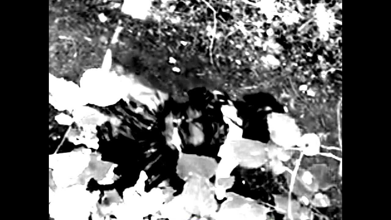 Radiohead Creep music video A2 media - YouTube