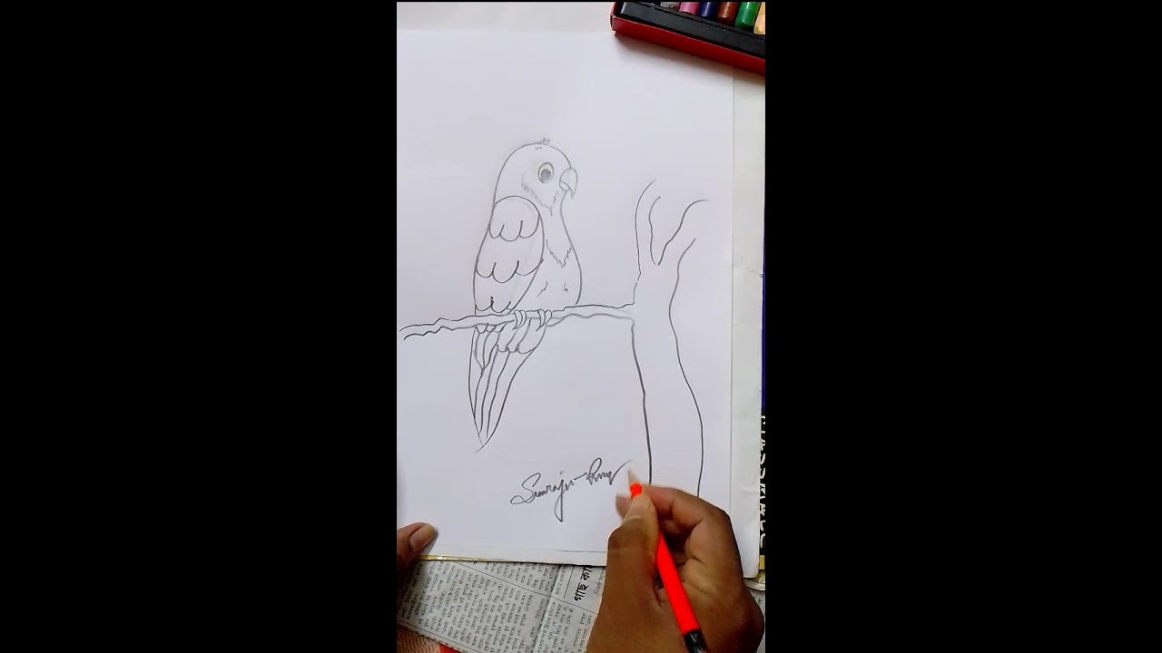 Parrot Sketch - YouTube