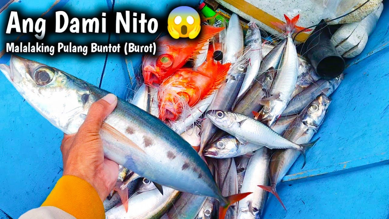 Solo Fishing| Lumabas Na Ang Madaming Pulang Buntot | Master Lei - YouTube