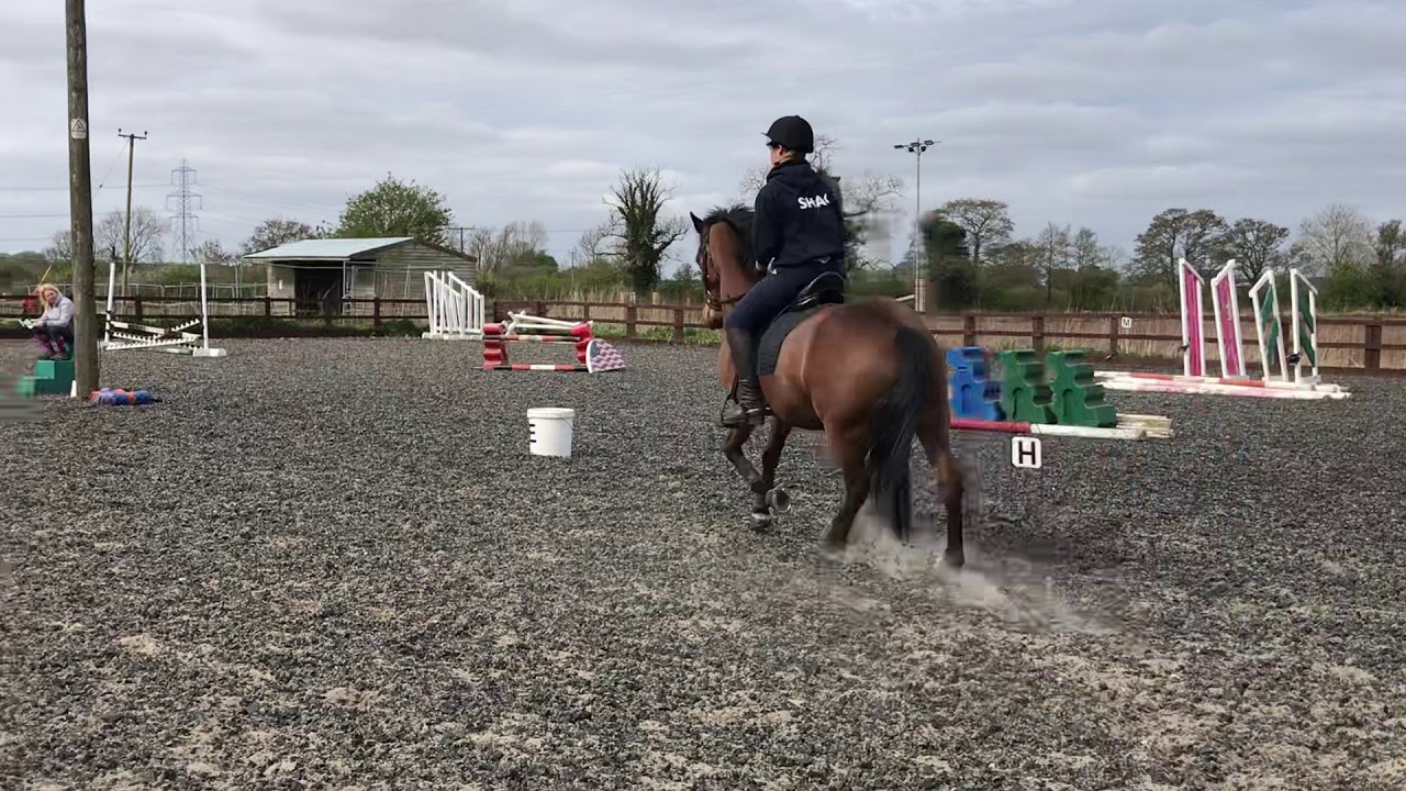Pony Club novice dressage test 2019 - YouTube