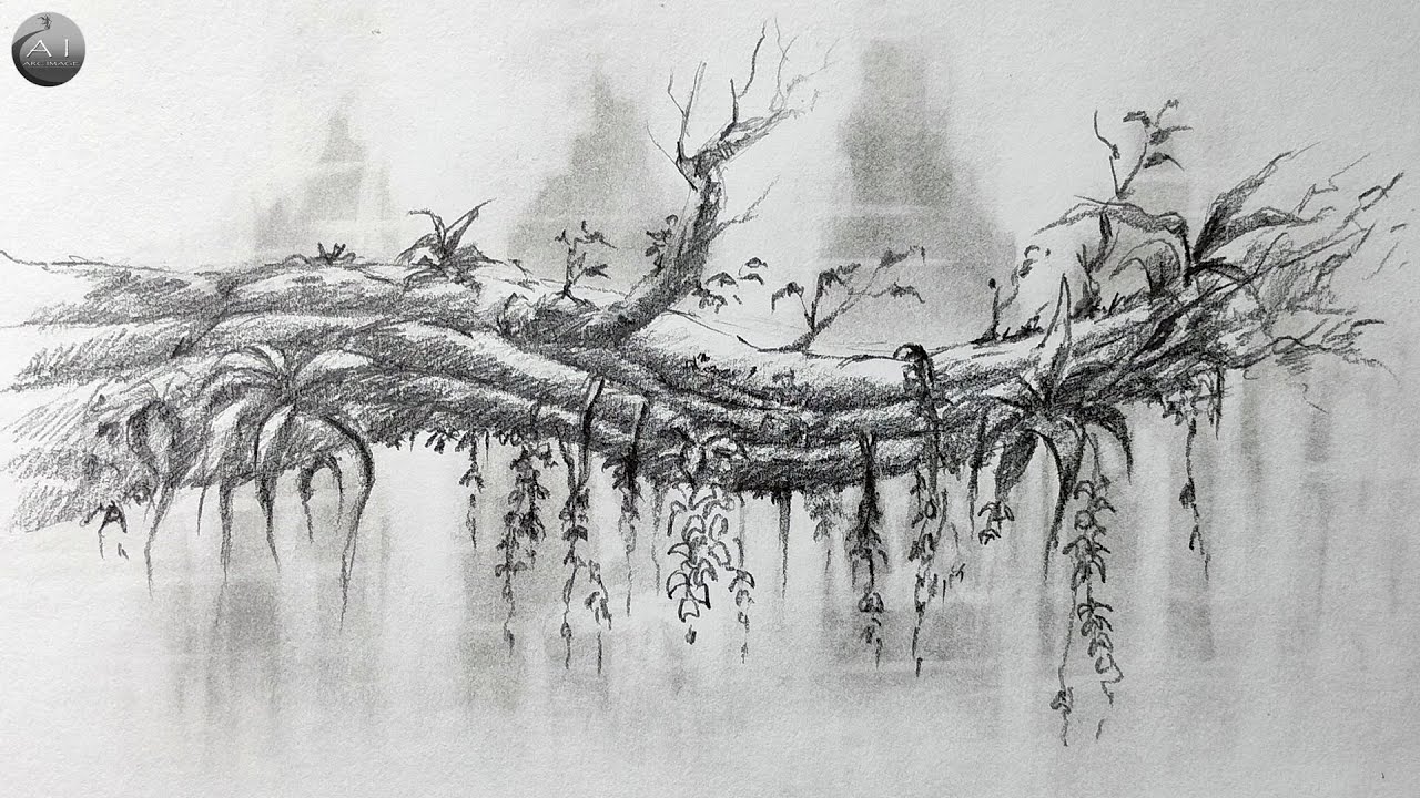How to draw Tree stem and branch of a tree | Easy tree trunk drawing ...