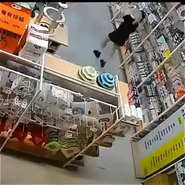 Hilarious Cat Hopping Adventure: Smoky Cat's Epic Journey on Human ...