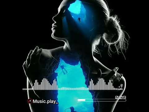 WhatsApp üçün yeni status video və mahnı 2019 mp3